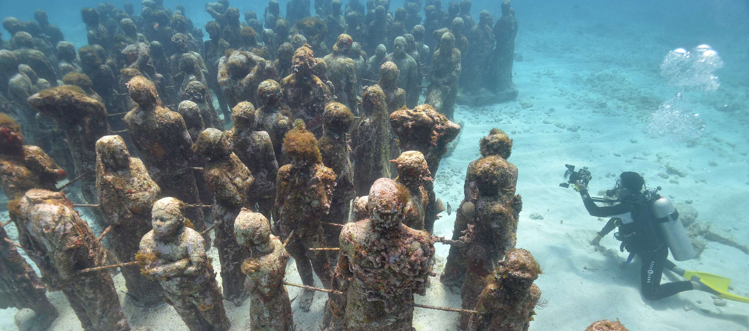 Scuba Diving & Snorkeling Tours in MUSA Cancun